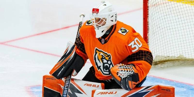 Amurskie Tigry vs Kapitan Stupino Prediction and Betting Tips (23.12.2025)